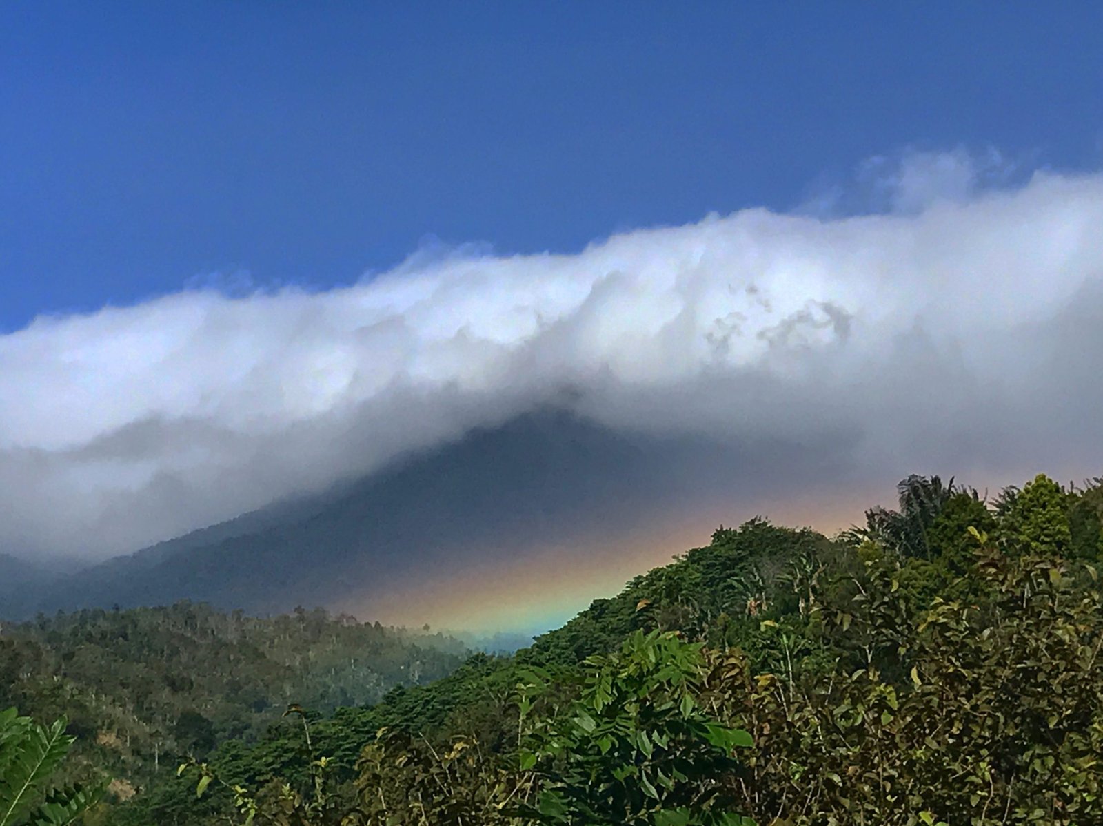 The Biggest Rainbow - Dyan Janito